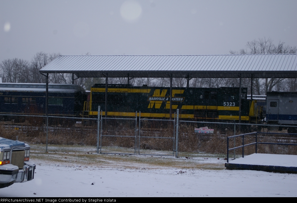 VLIX 5323 EX NERR 5323